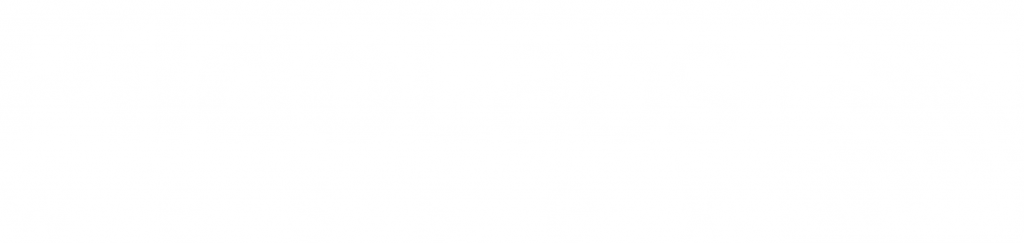 Pildo Labs | Move Smart